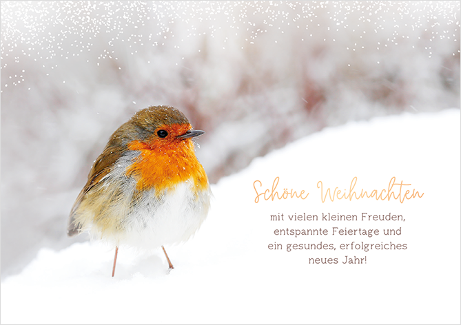 Wunderschone Weihnachtswunsche Grafik Werkstatt Ebenbild